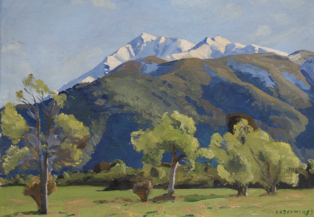 Mt Peel and Houhere Trees – NZ artbroker