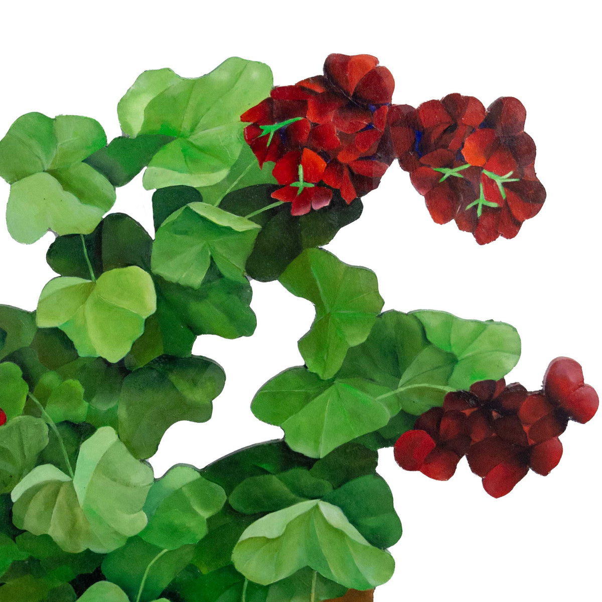 Geraniums in Pot – NZ artbroker