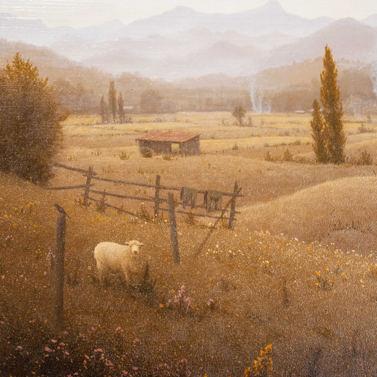 Summer Evening Moutere Valley – NZ Artbroker