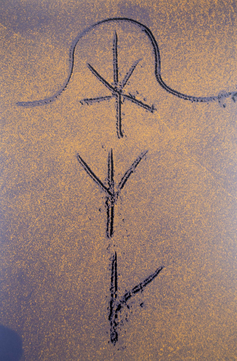 Untitled (Sand Drawing) – NZ artbroker