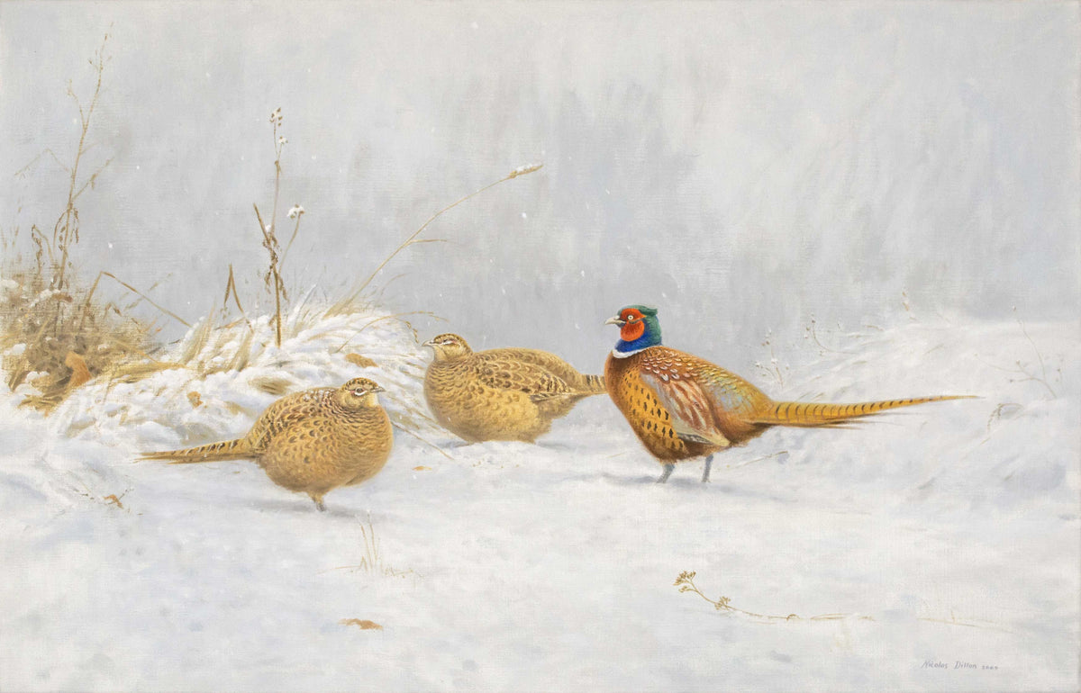 Untitled - Pheasants – NZ artbroker
